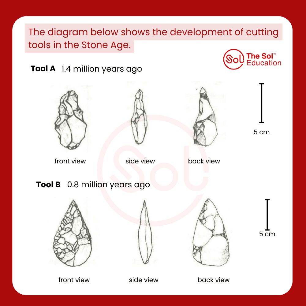 Tổng hợp Chữa đề ielts writing task 1 dạng process