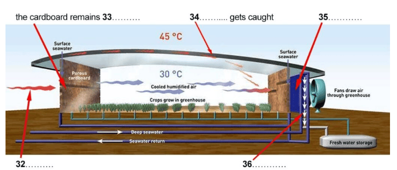 IELTS Reading passage 3: The Rainmaker - Question and answers
